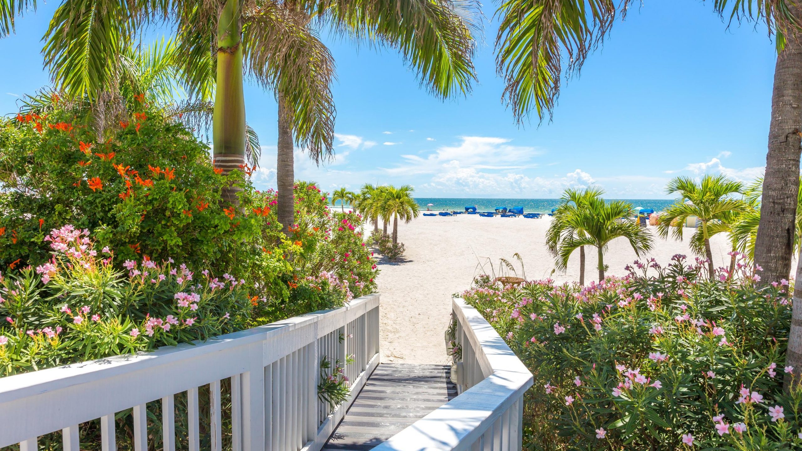 Top long-haul destinations | Discover Airlines