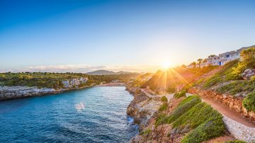 Book tickets online now and fly out into the world | Discover Airlines