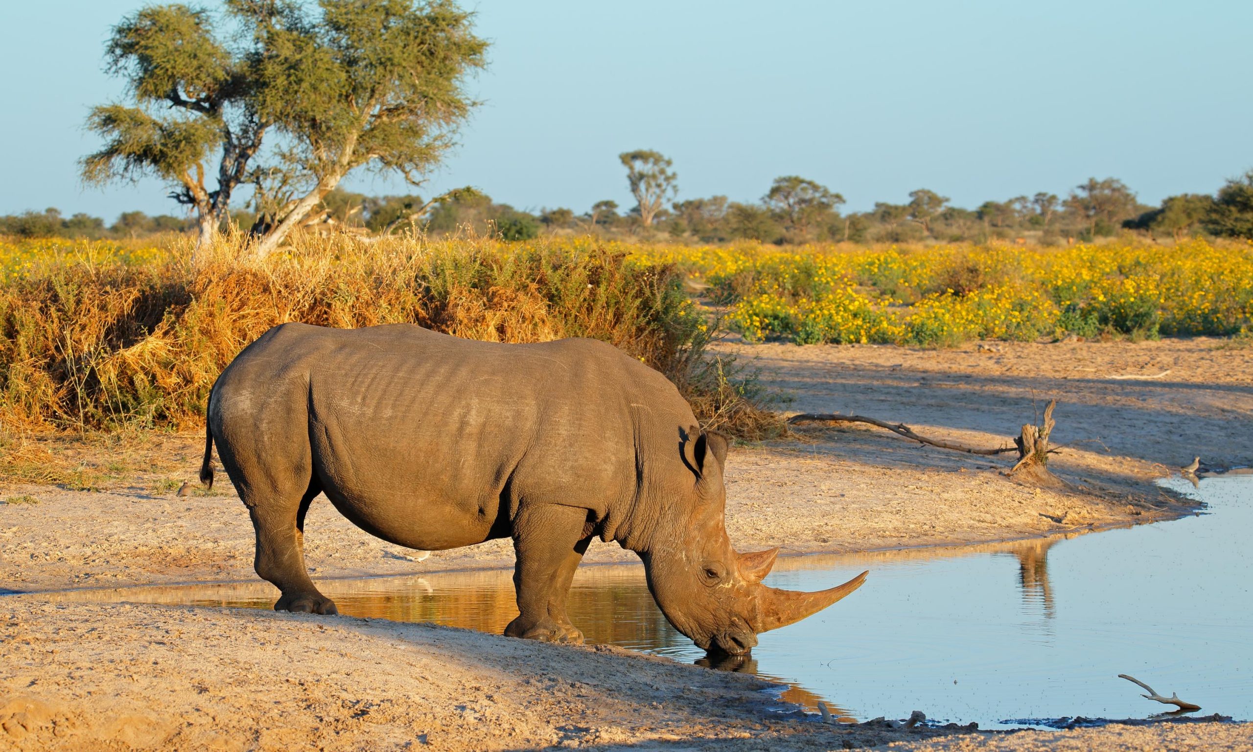 Vacation in Windhoek | Discover Airlines