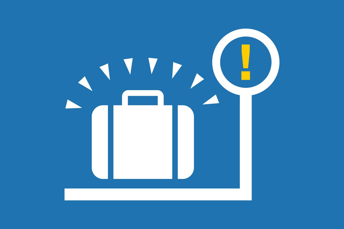 Excess baggage | Discover Airlines